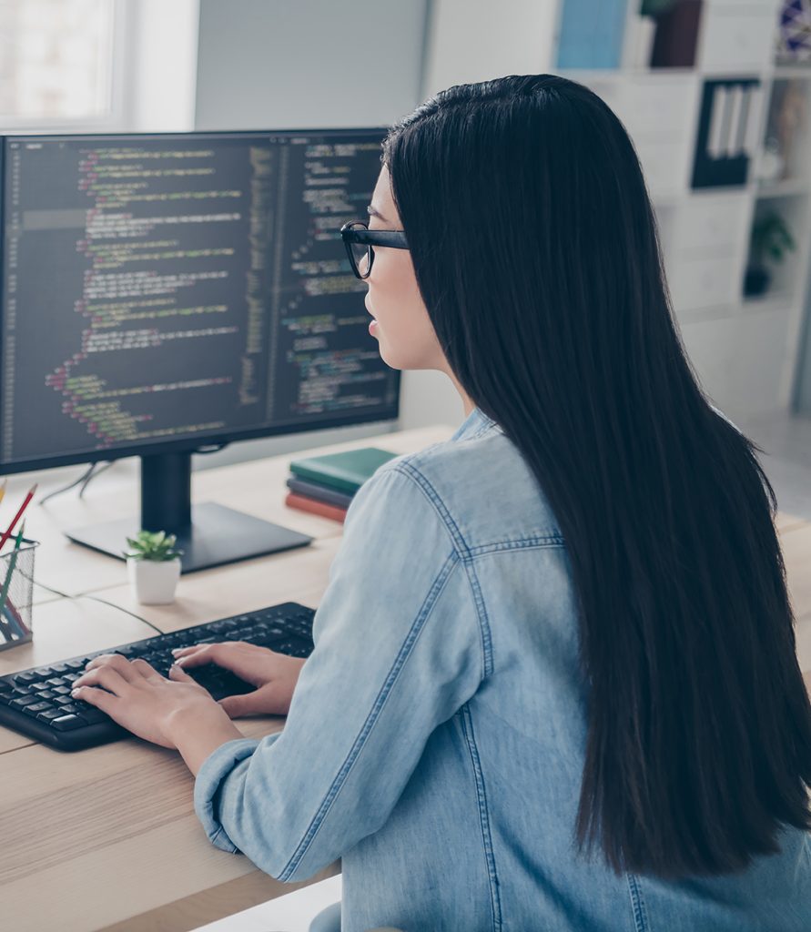 lditlimited.com – Business Software Development